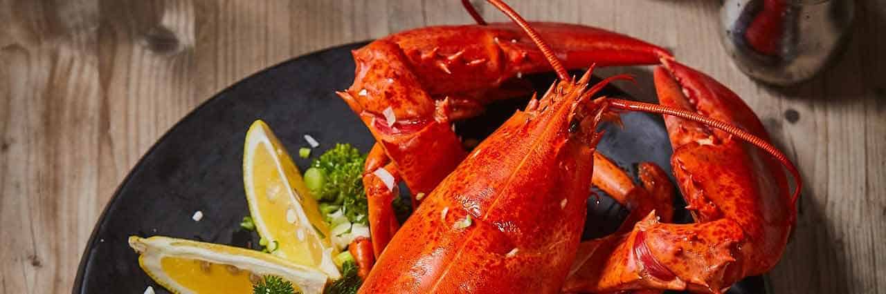 Recommended Restaurant Guide for Chatham, MA, Cape Cod | Chatham ...